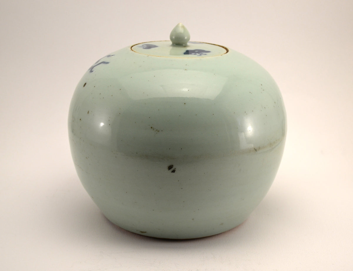 Blue & White Celadon Ginger Jar - Foo Dogs – Malka Art