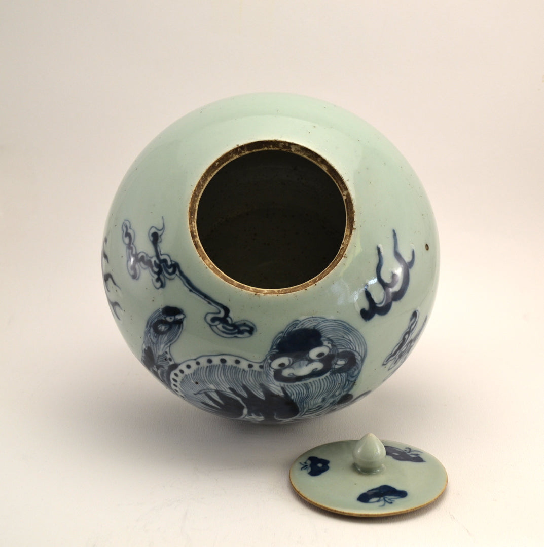 Blue & White Celadon Ginger Jar - Foo Dogs – Malka Art